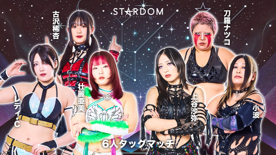6人タッグマッチ | Stardom World
