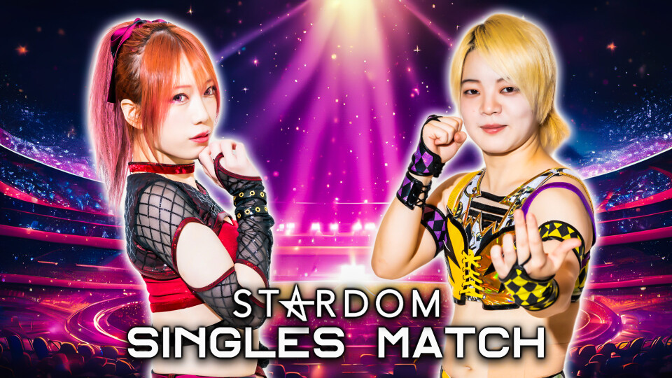 1、15分1本勝負 | Stardom World