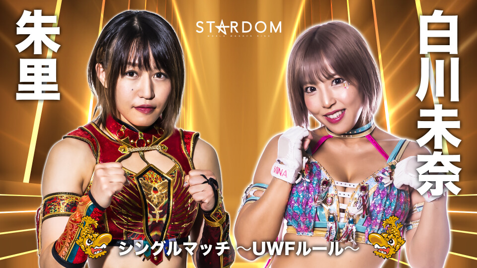 3、UWFルールマッチ | Stardom World