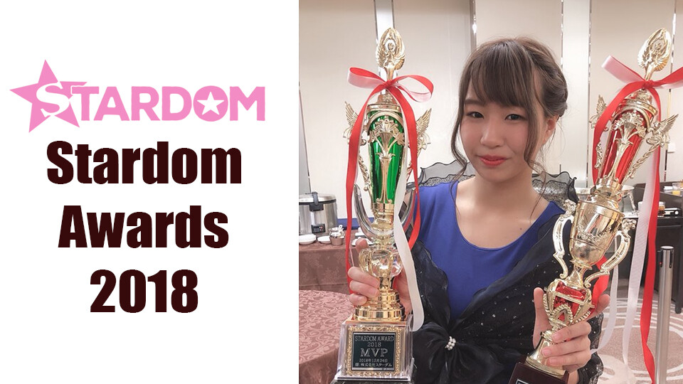 Stardom Awards 2018 | Stardom World