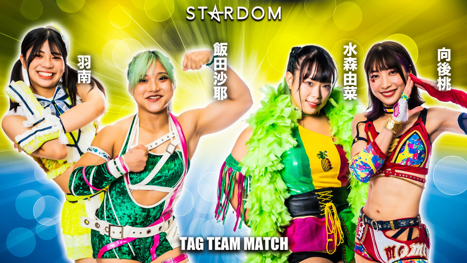 1、15分1本勝負 | Stardom World