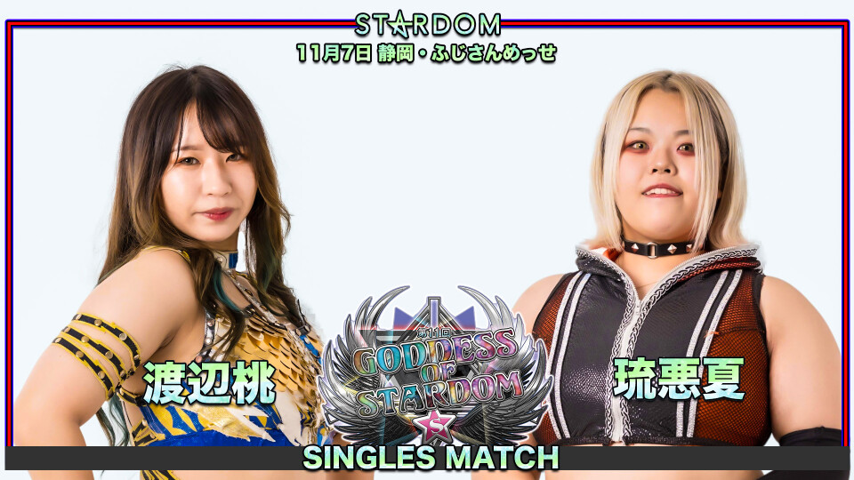 1、15分1本勝負 | Stardom World