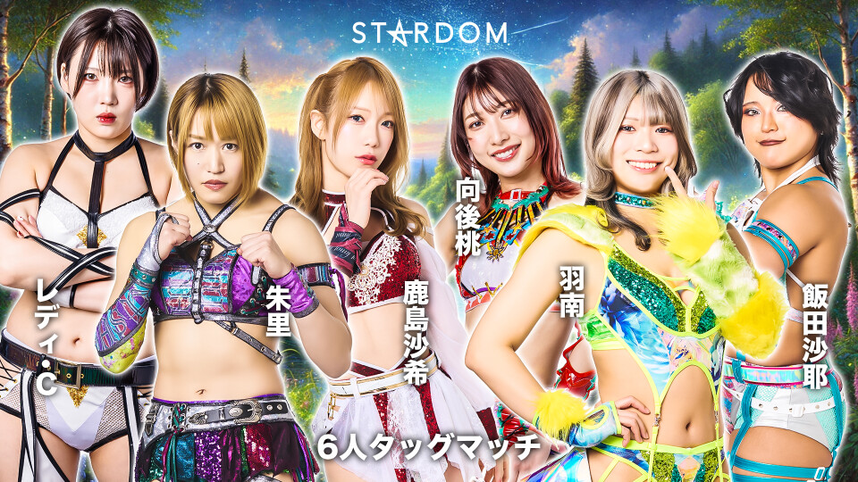 6人タッグマッチ | Stardom World