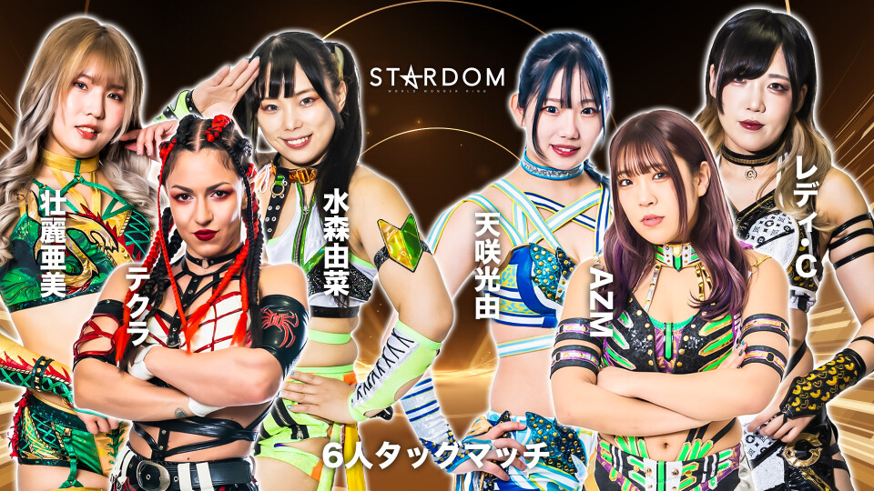 0、15分1本勝負 | Stardom World