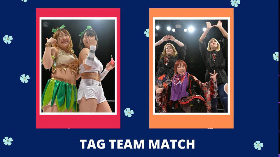 03 Tag Team Match | Stardom World